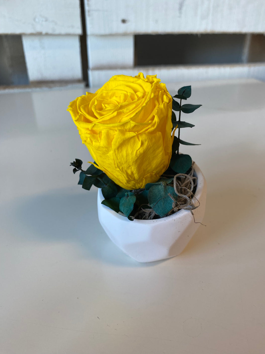 Preserved Rose Arrangements – Lavishfloral